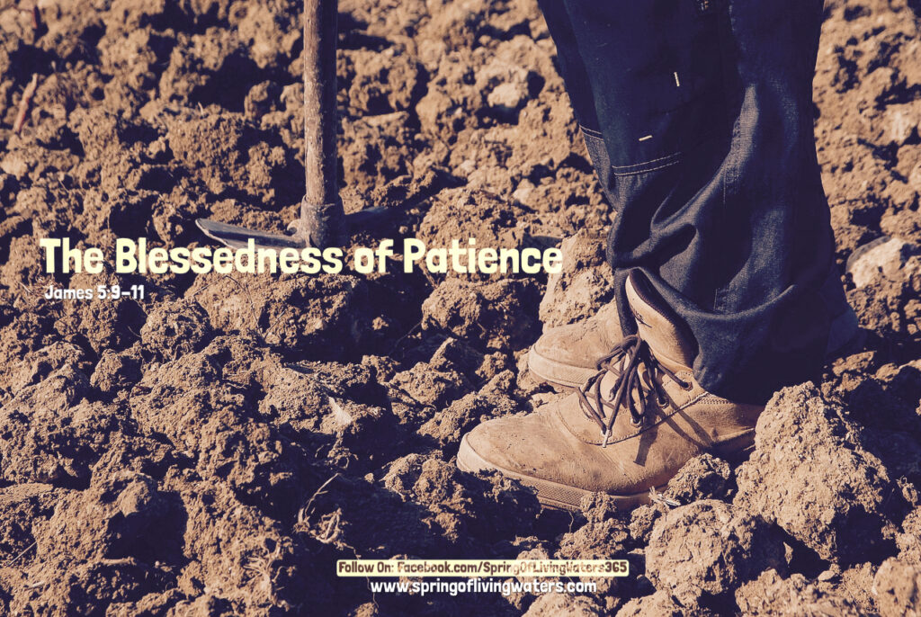The Blessedness of Patience - Spring of Living Waters
